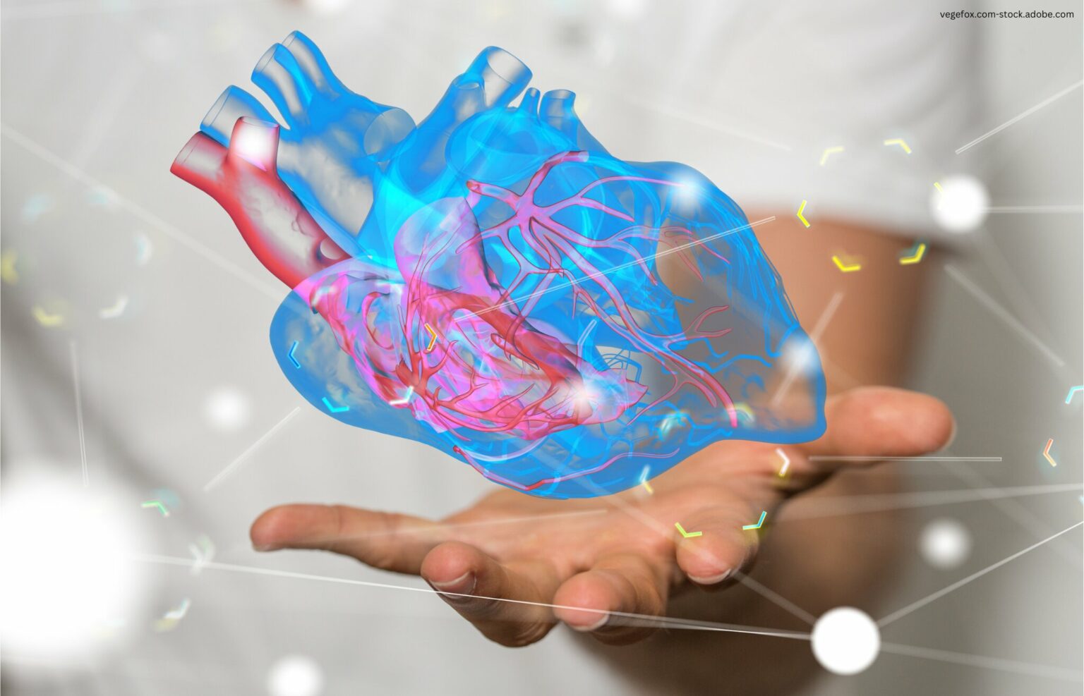 Katheterablation bei Vorhofflimmern: Behandlung und Erfolgsaussichten