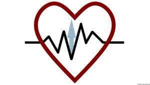 Katheterablation bei Vorhofflimmern: Behandlung und Erfolgsaussichten